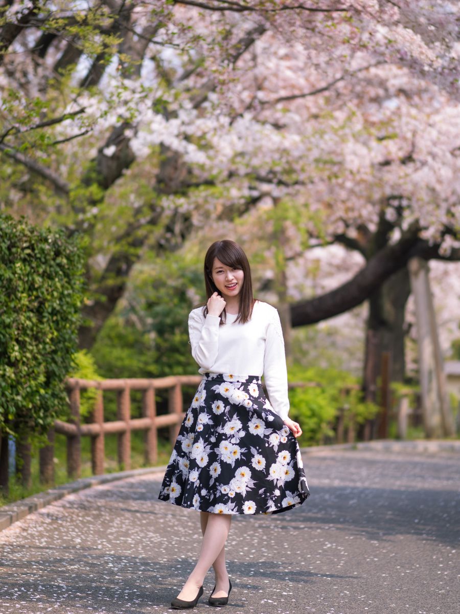 Cherry blossom path | GANREF