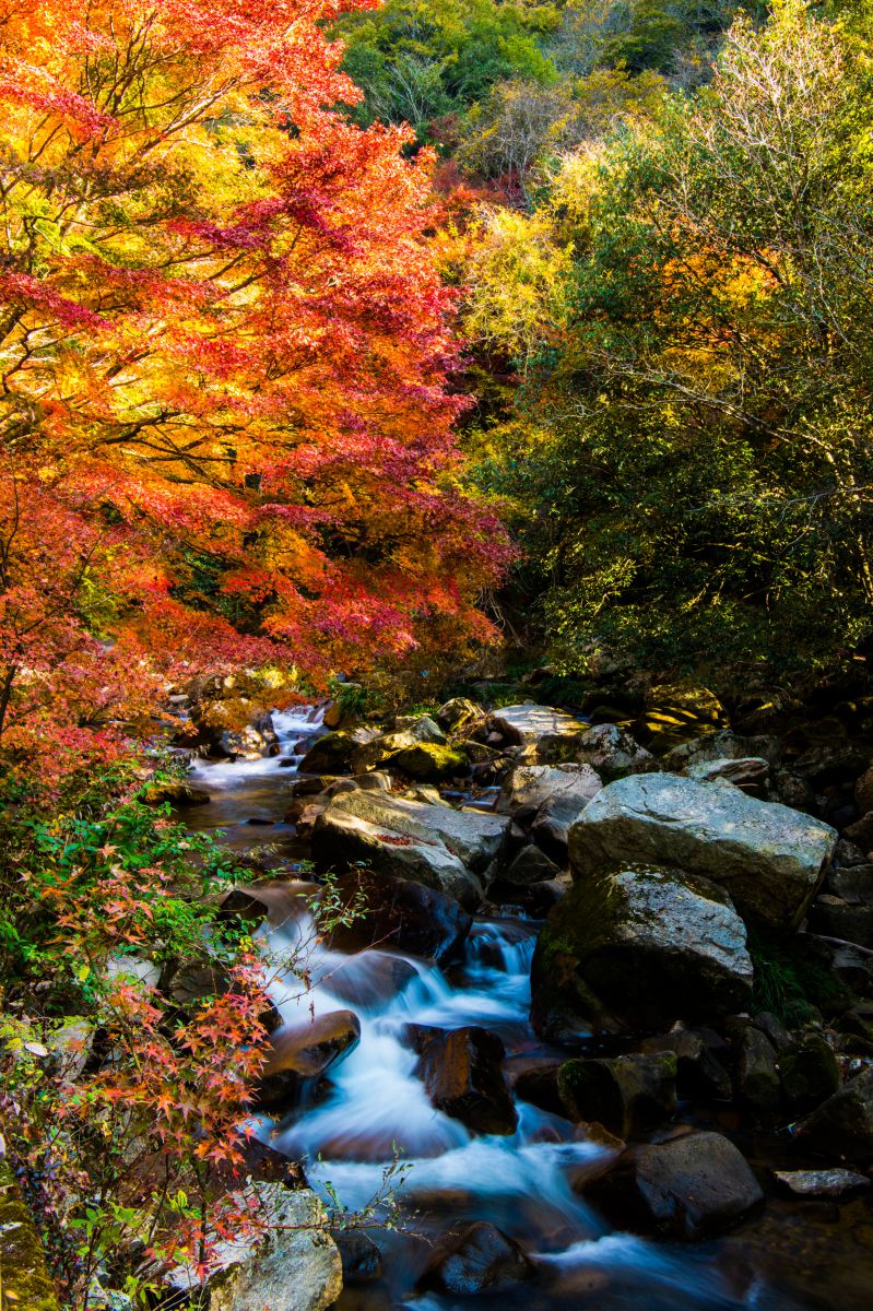 Burning valley | GANREF