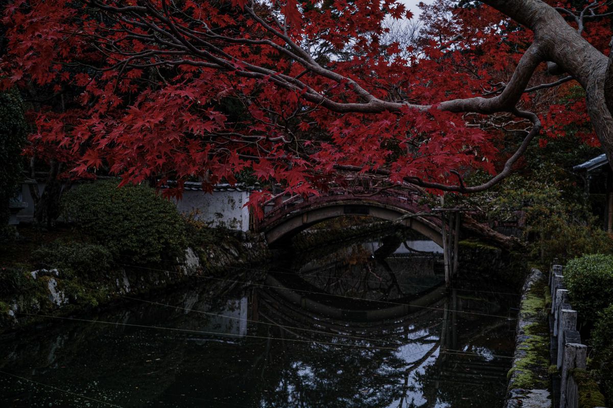 紅葉2019 - 005 | GANREF