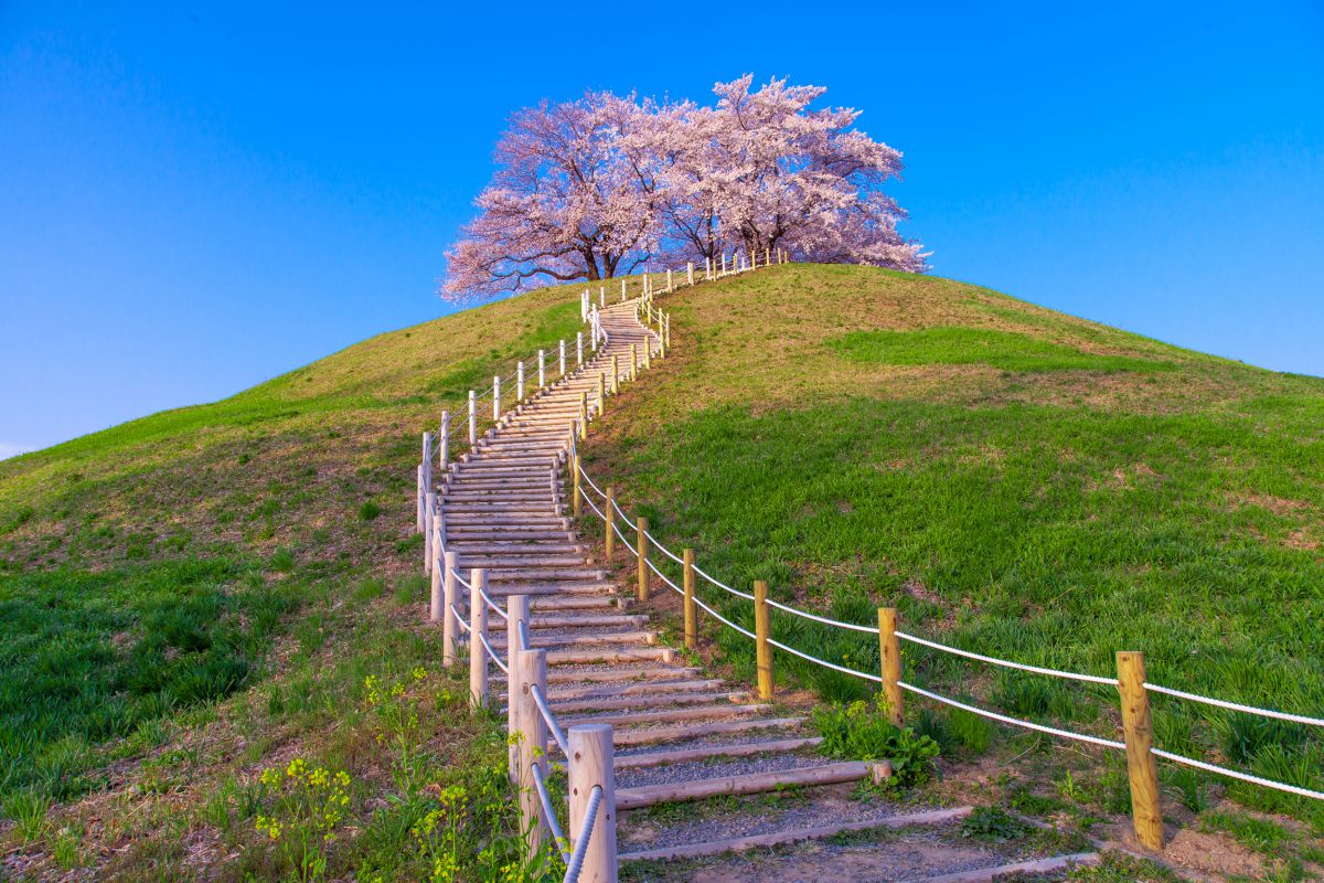 on the hill | GANREF