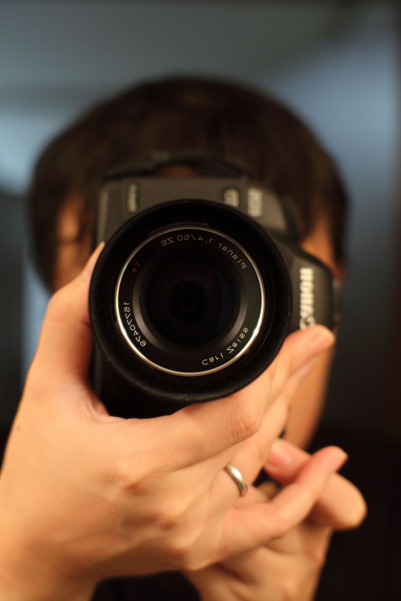 Self Portrait | GANREF