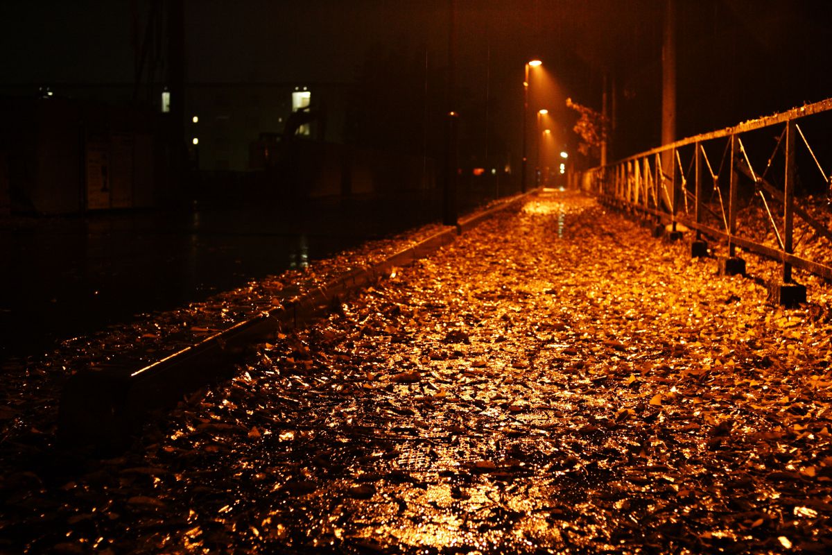 A humid night | GANREF