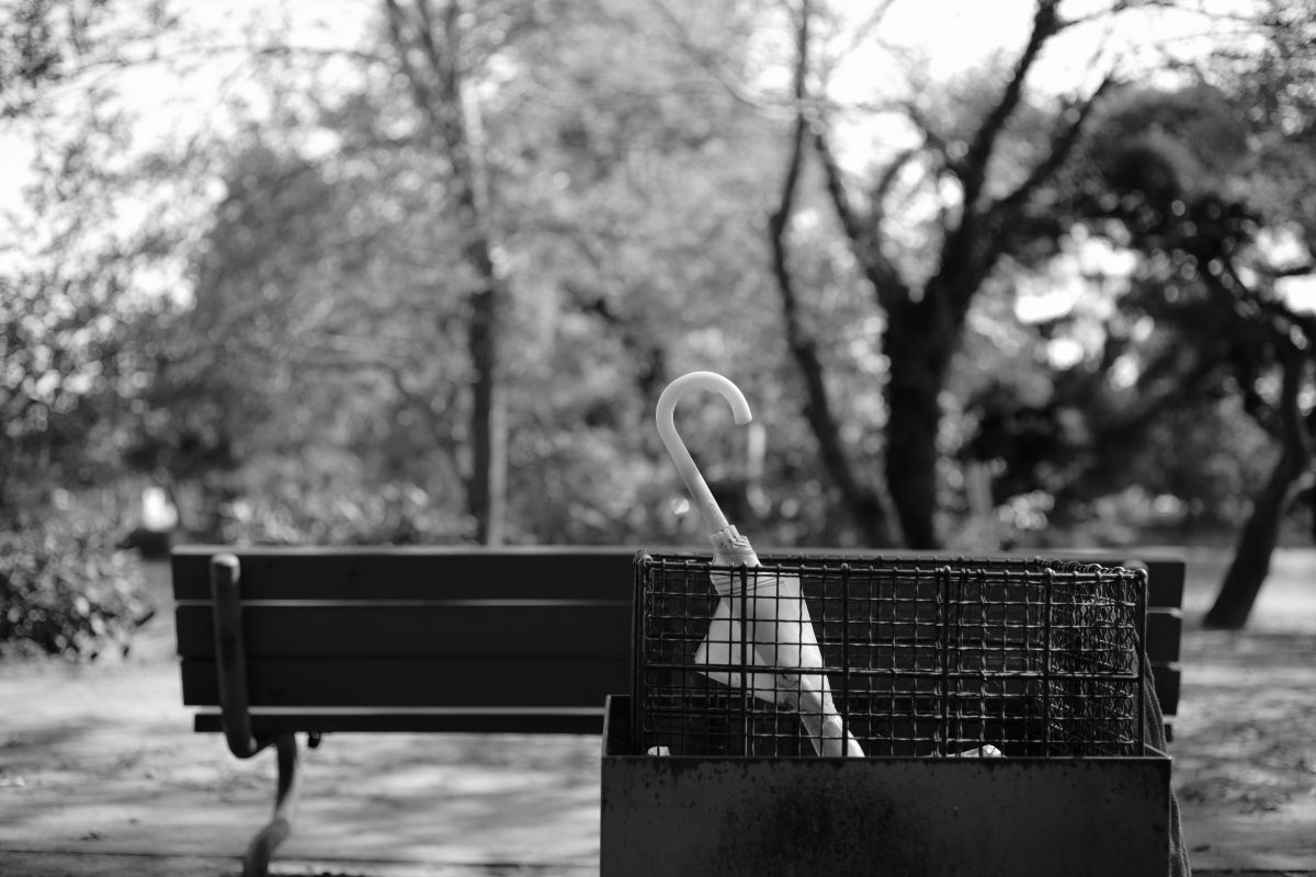 a modest summer memory | GANREF