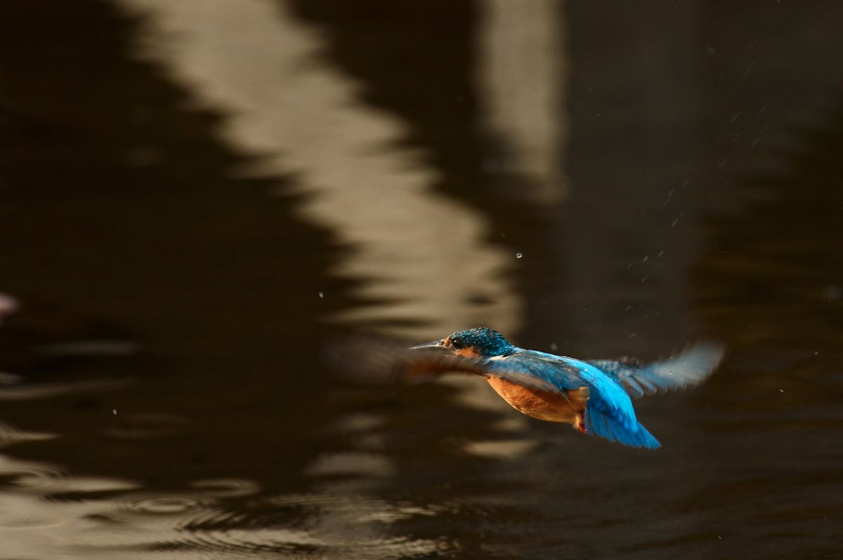 今日はこれにて | GANREF