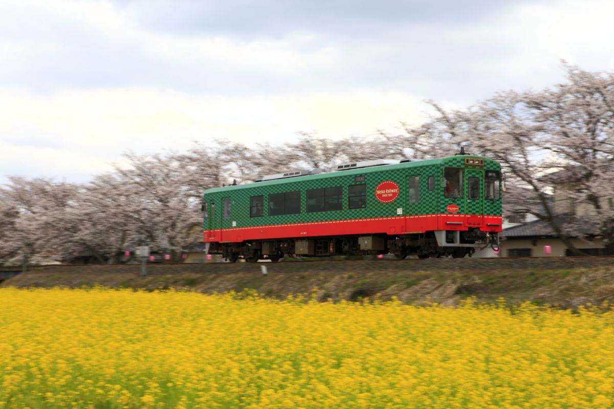 Moka_Railway | GANREF