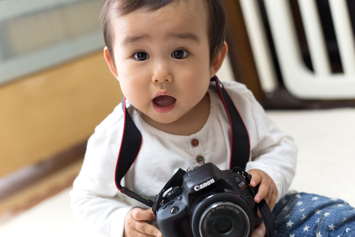 未来のカメラマン | GANREF