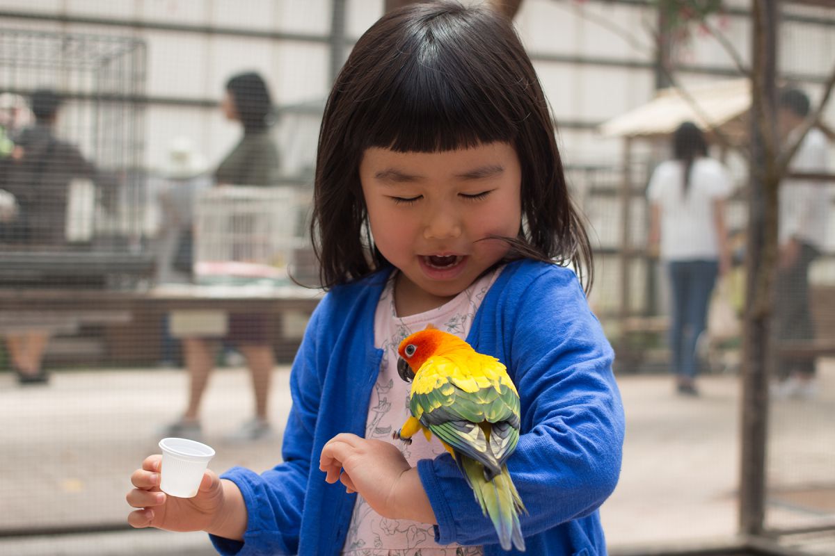 もうエサないよ | GANREF