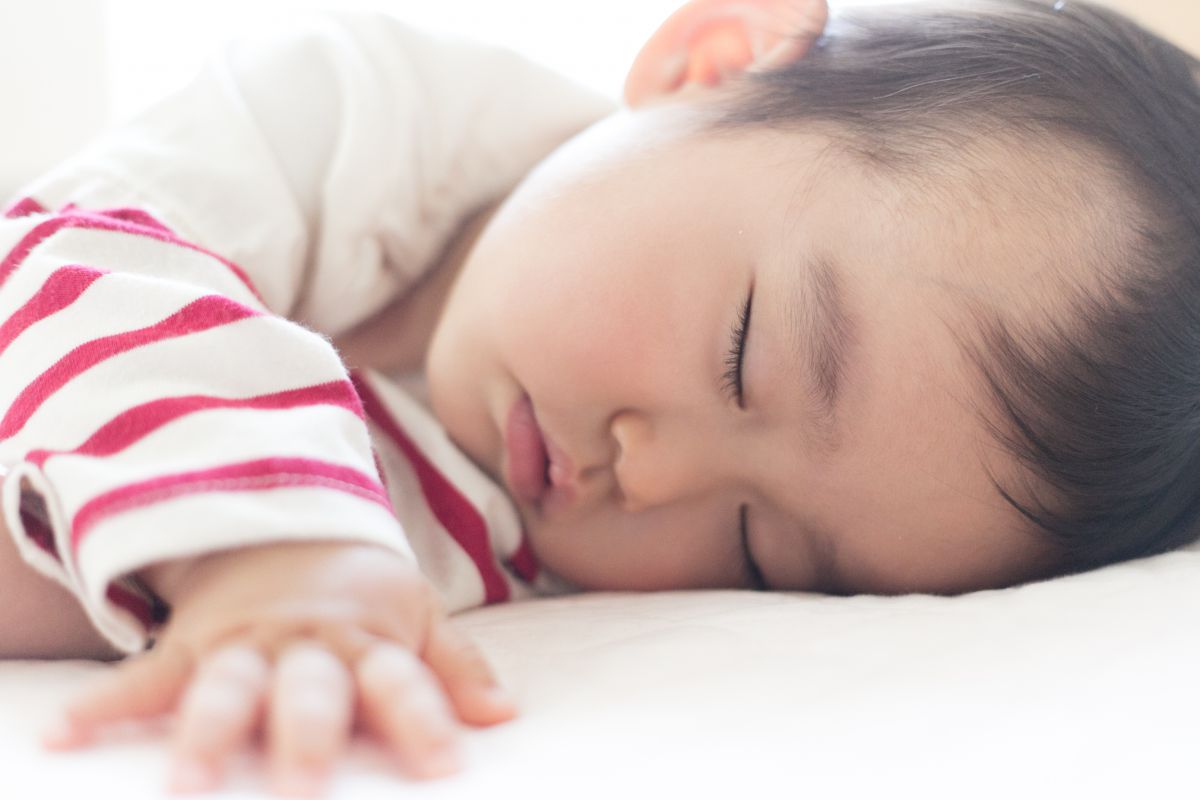 ZZZ･･･ | GANREF