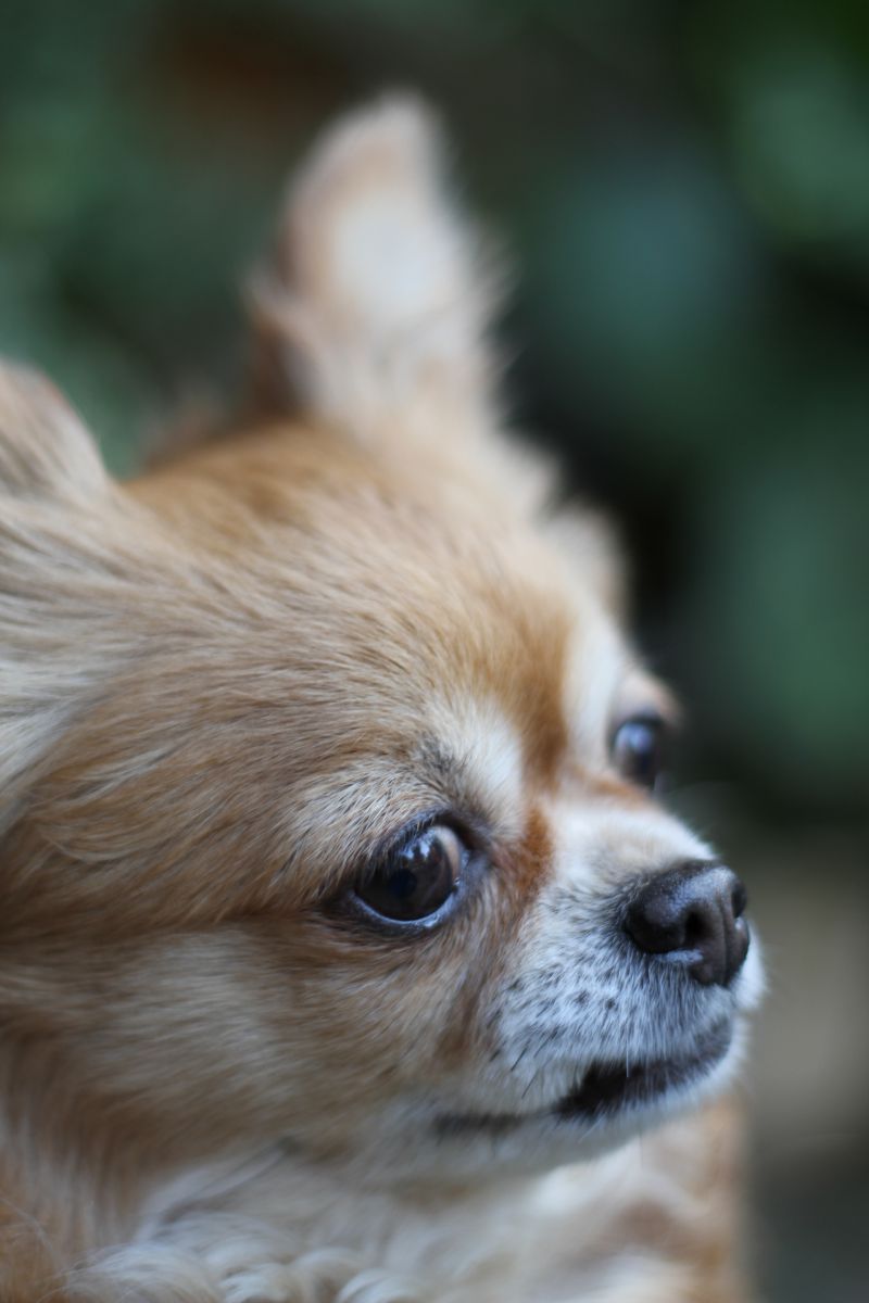 EOS 7D、初撮り♪ | GANREF