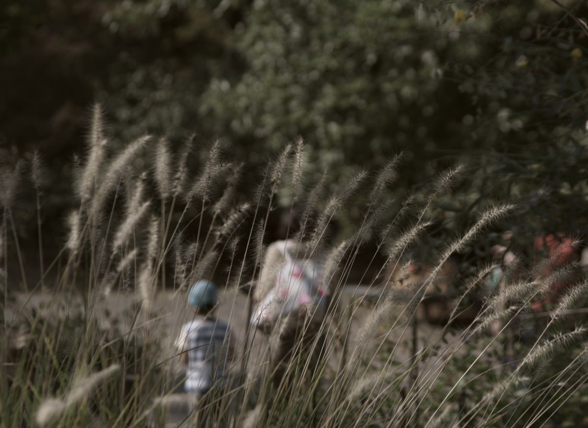 母親と息子 | GANREF