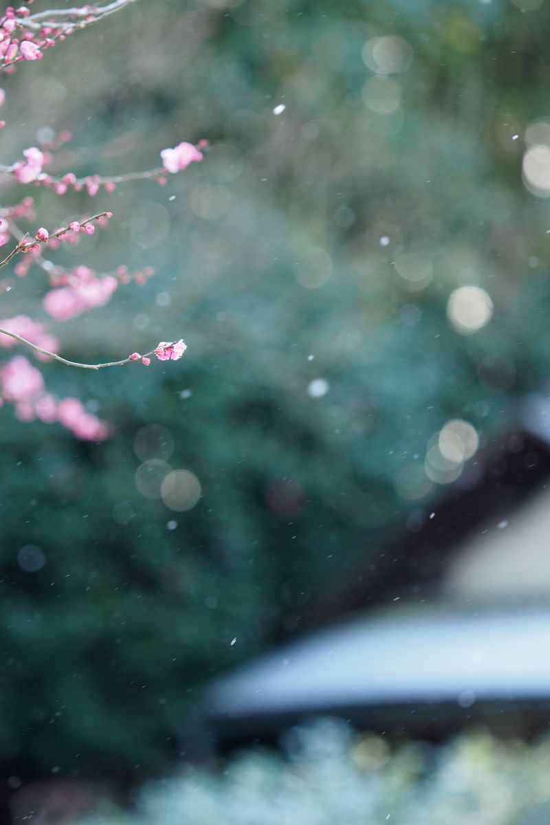 春を待つ | GANREF