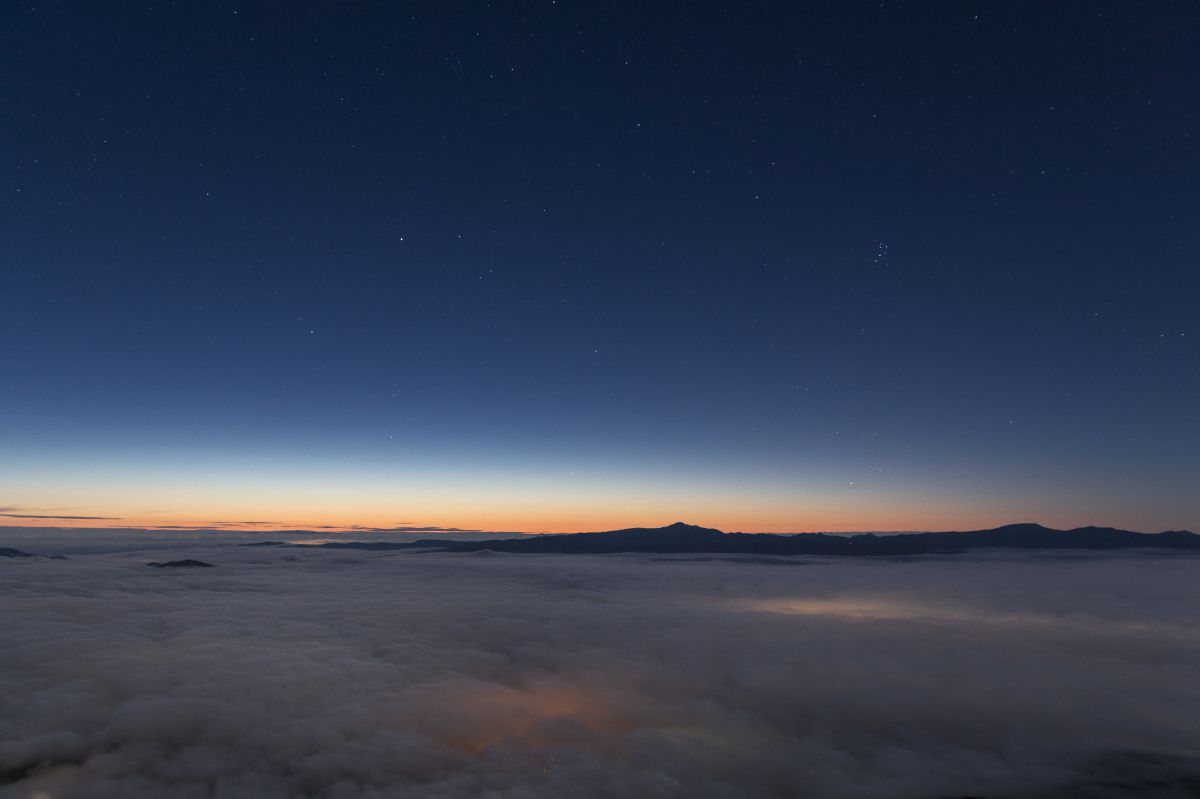 Dawn Chorus | GANREF