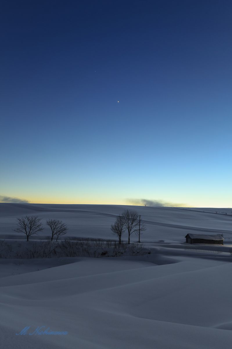 一番星見つけた！ | GANREF