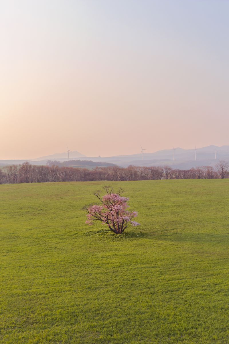 Only you♪ | GANREF