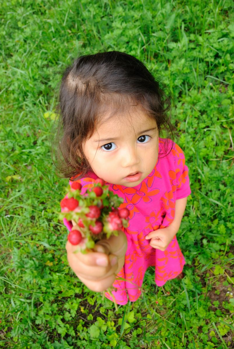 シュワッチ！2 | GANREF