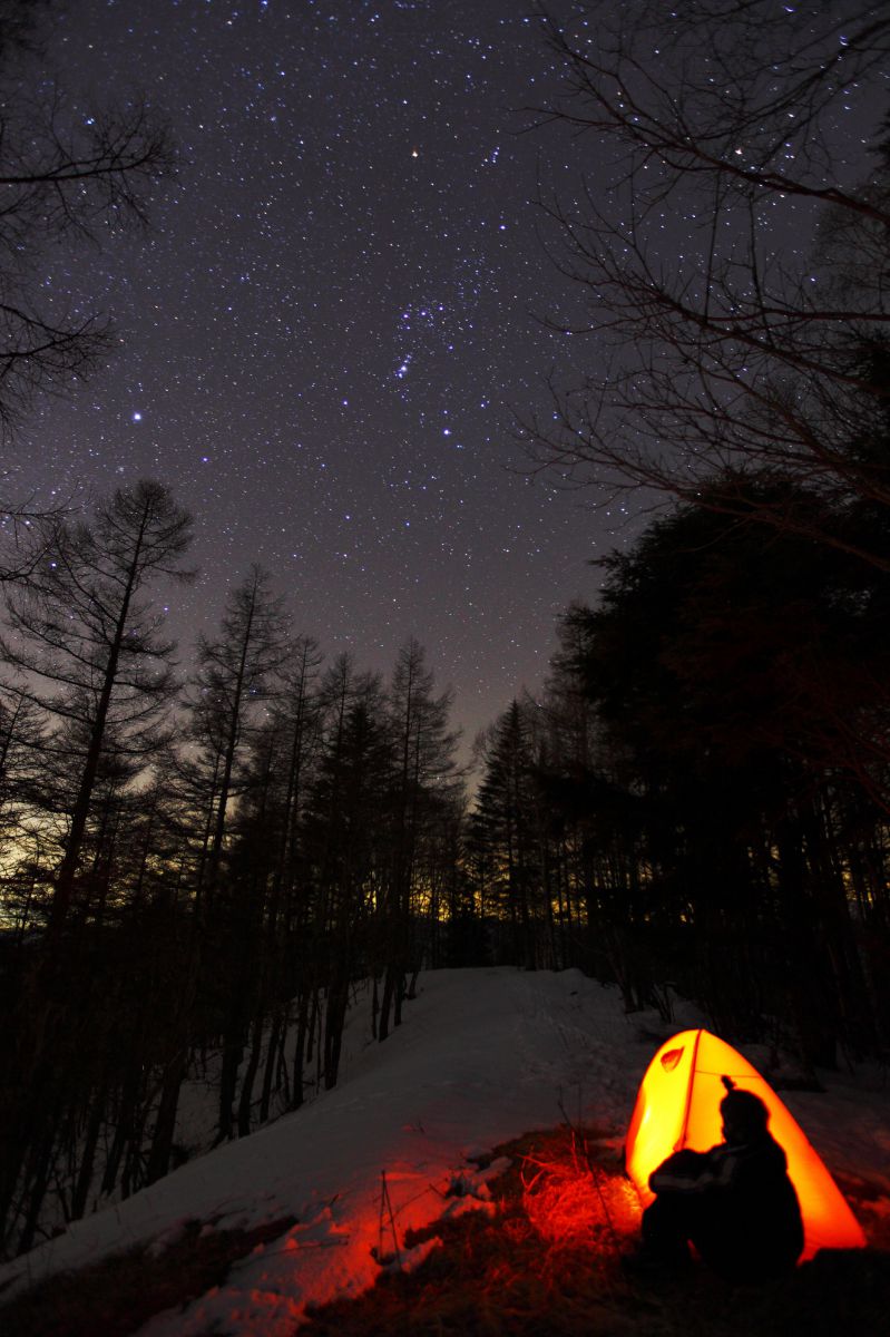 my identity | GANREF