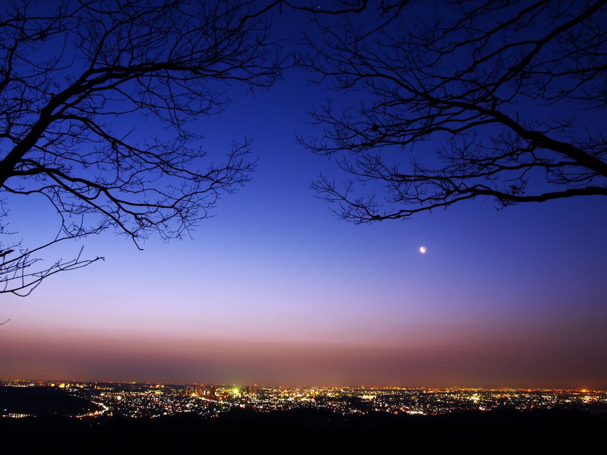 仄々（ほのぼの） | GANREF