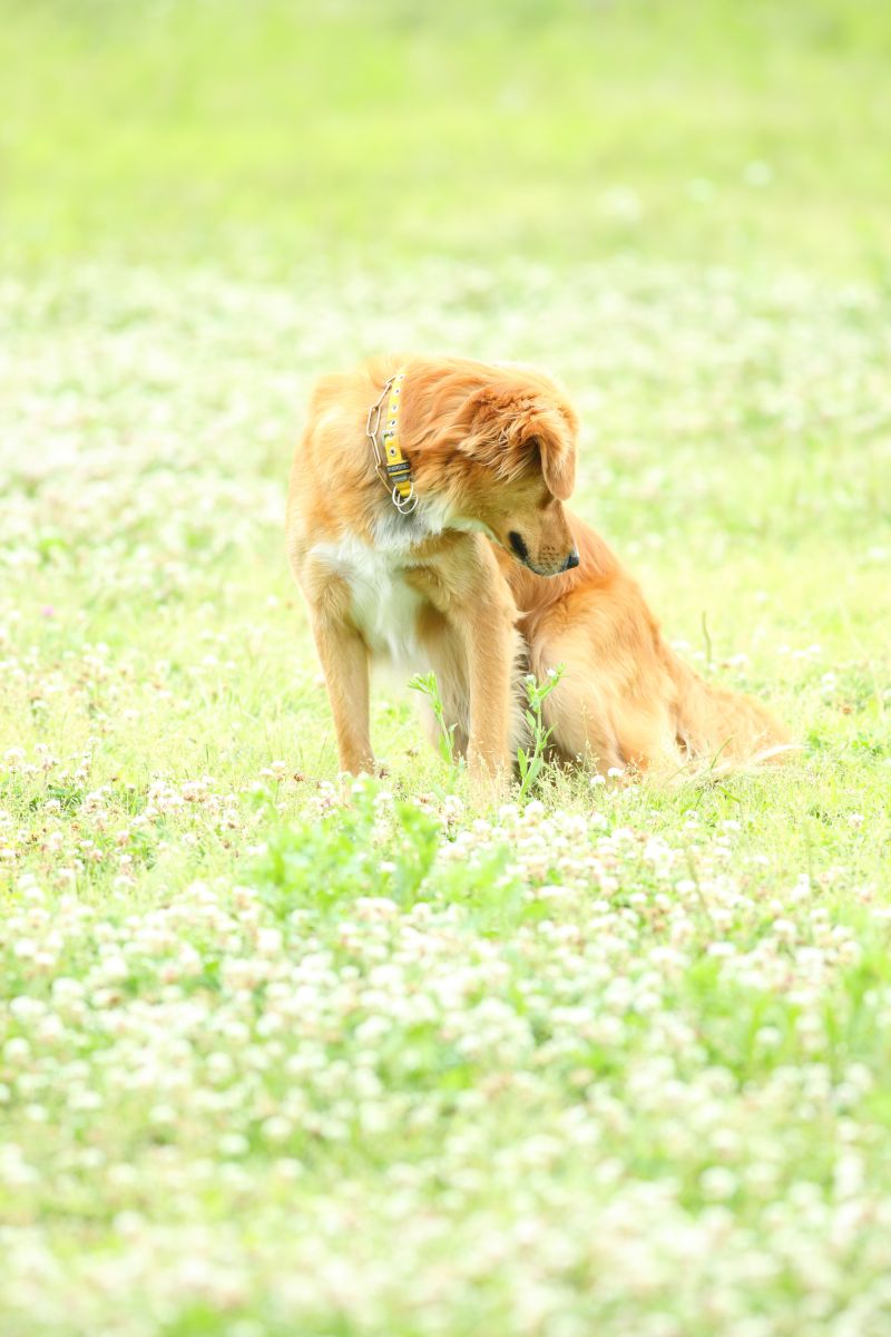 ひとやすみ | GANREF