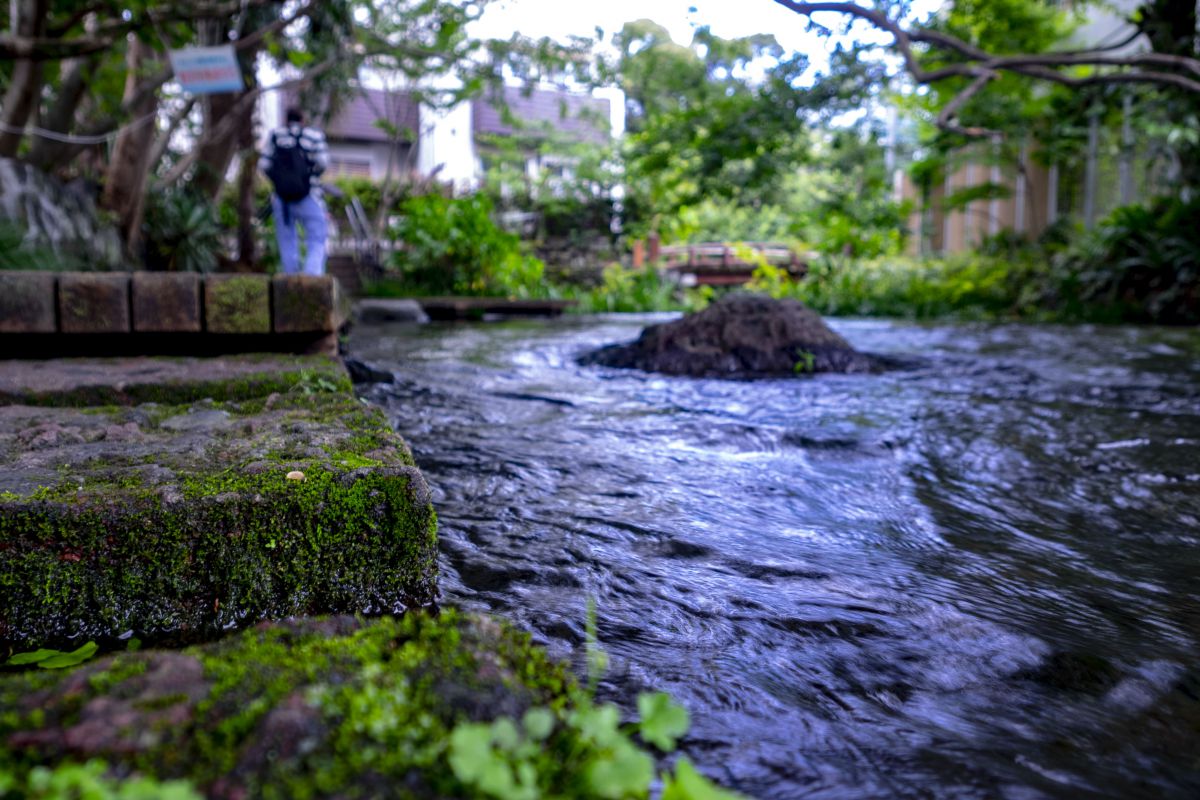 源兵衛川 1 | GANREF