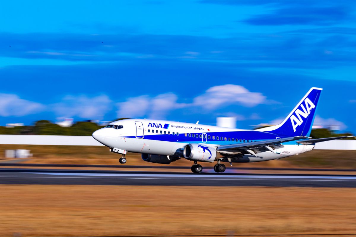 ANA スーパードルフィン | GANREF