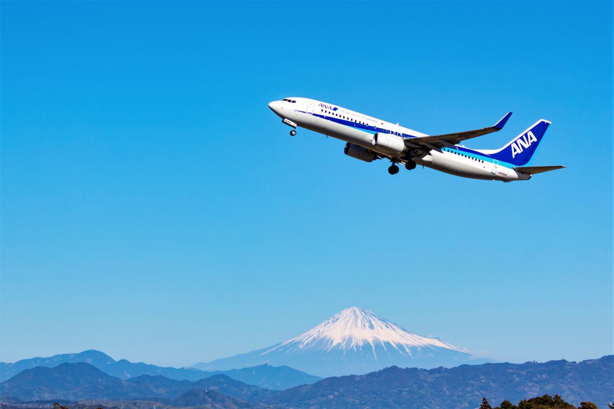 全日空 Boeing 737-800 | GANREF