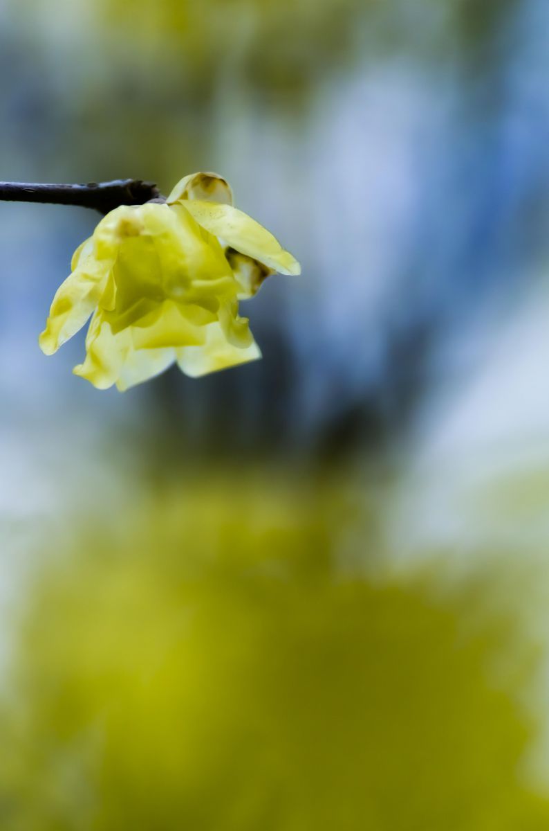 至極当然に | GANREF