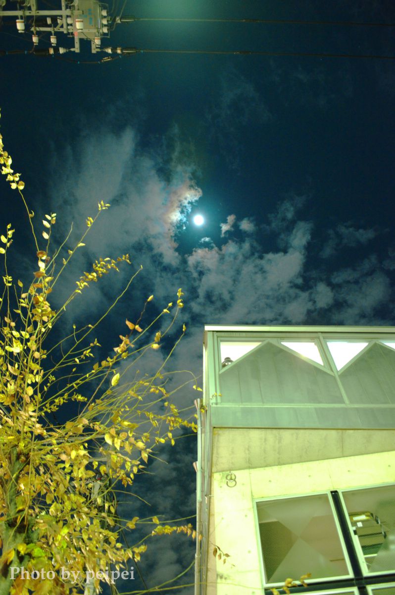 Midnight Moon | GANREF