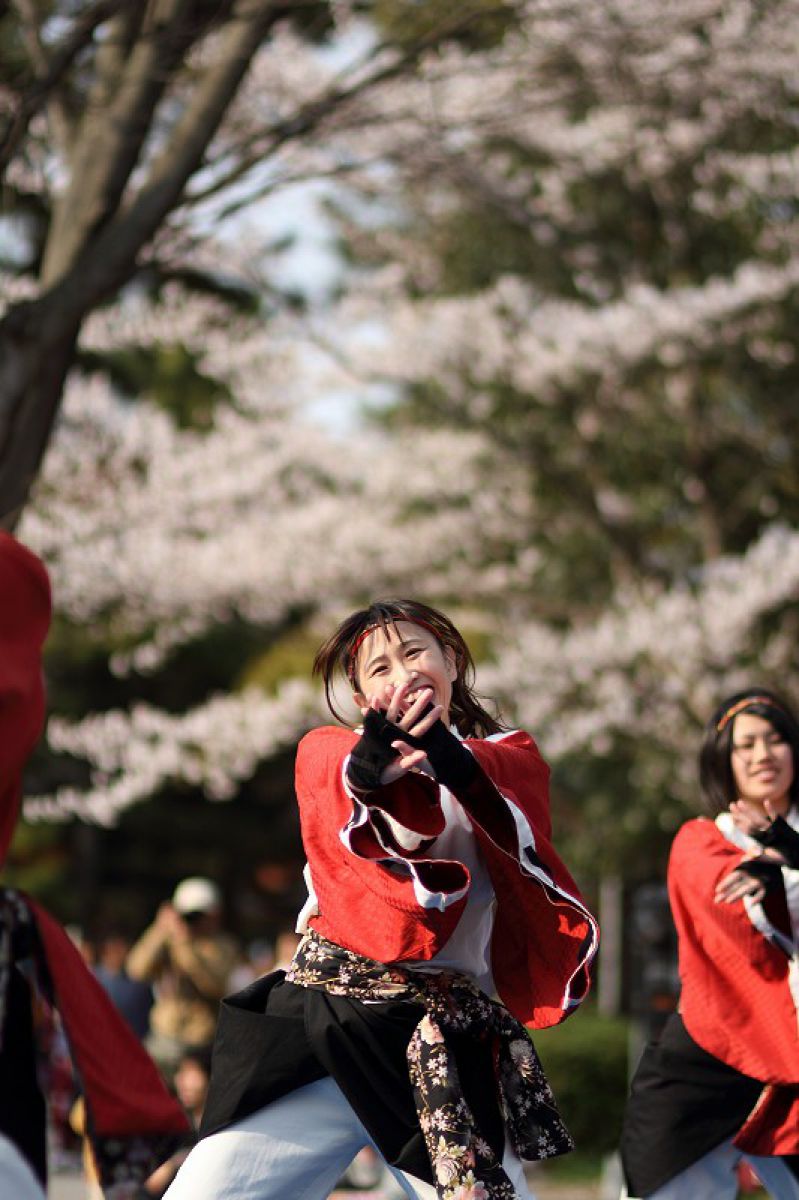 笑顔 in 京都さくらよさこい | GANREF
