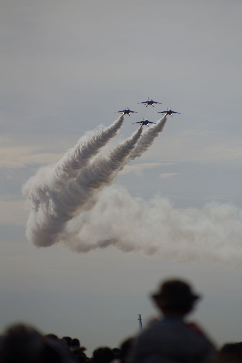 Mighty Wings | GANREF