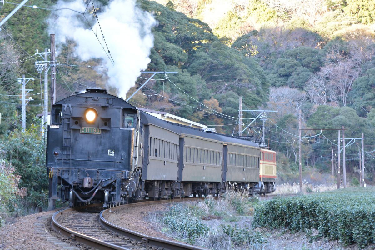 C11-190、バック運転 | GANREF