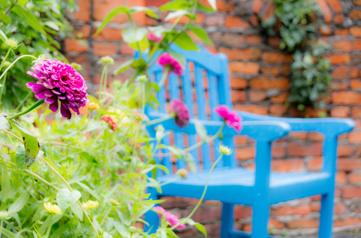 Reserved... | GANREF