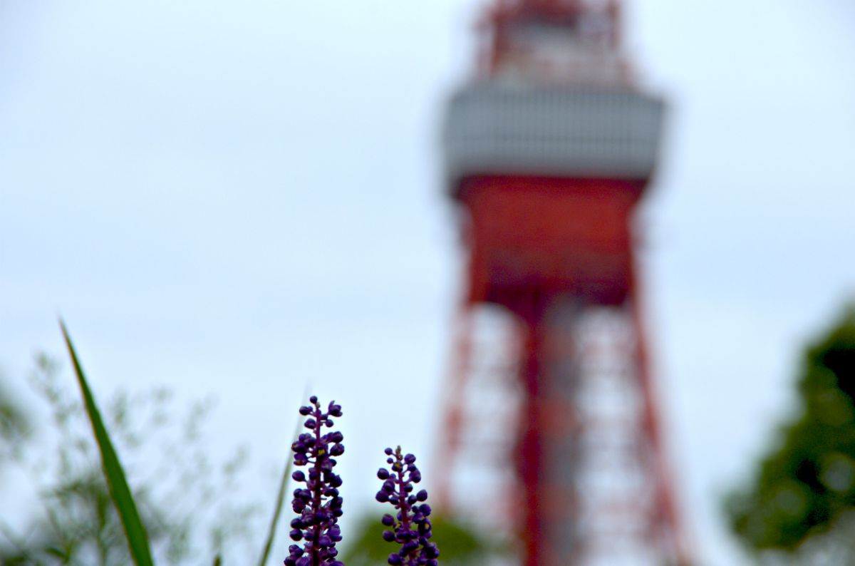 難しい・・・ | GANREF