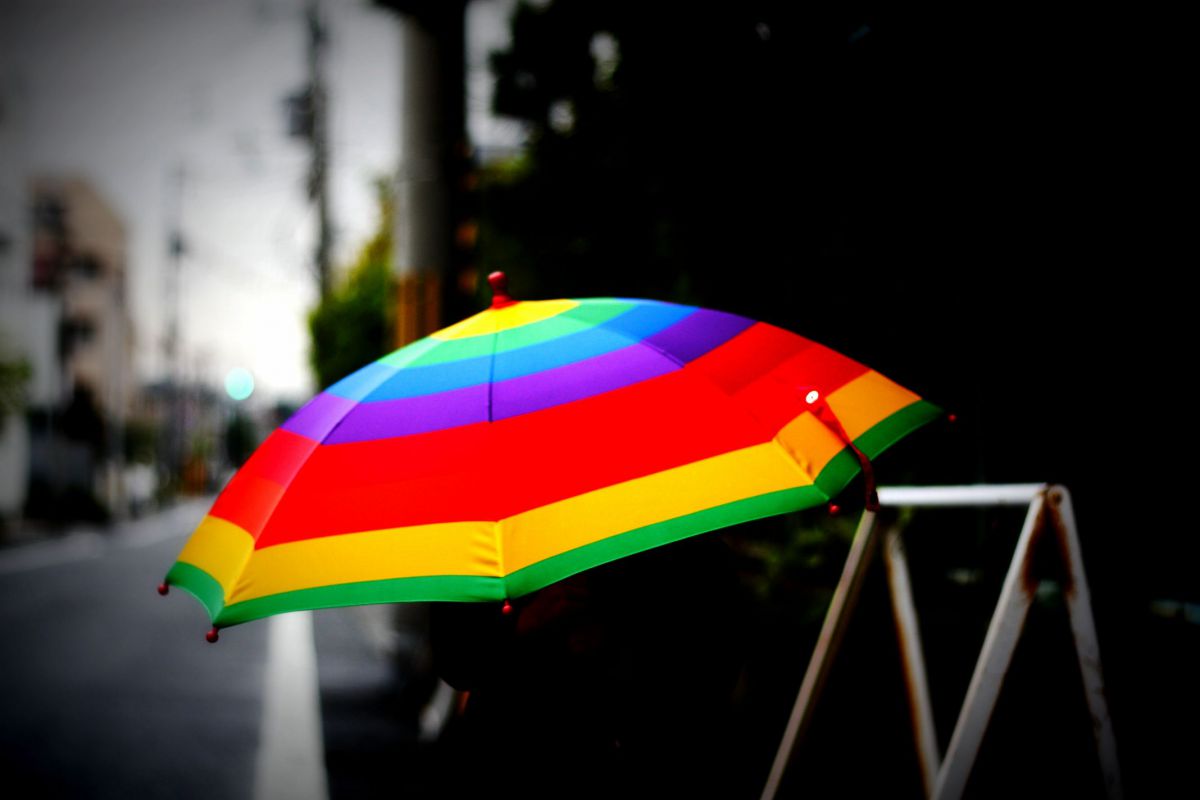 The first umbrella | GANREF