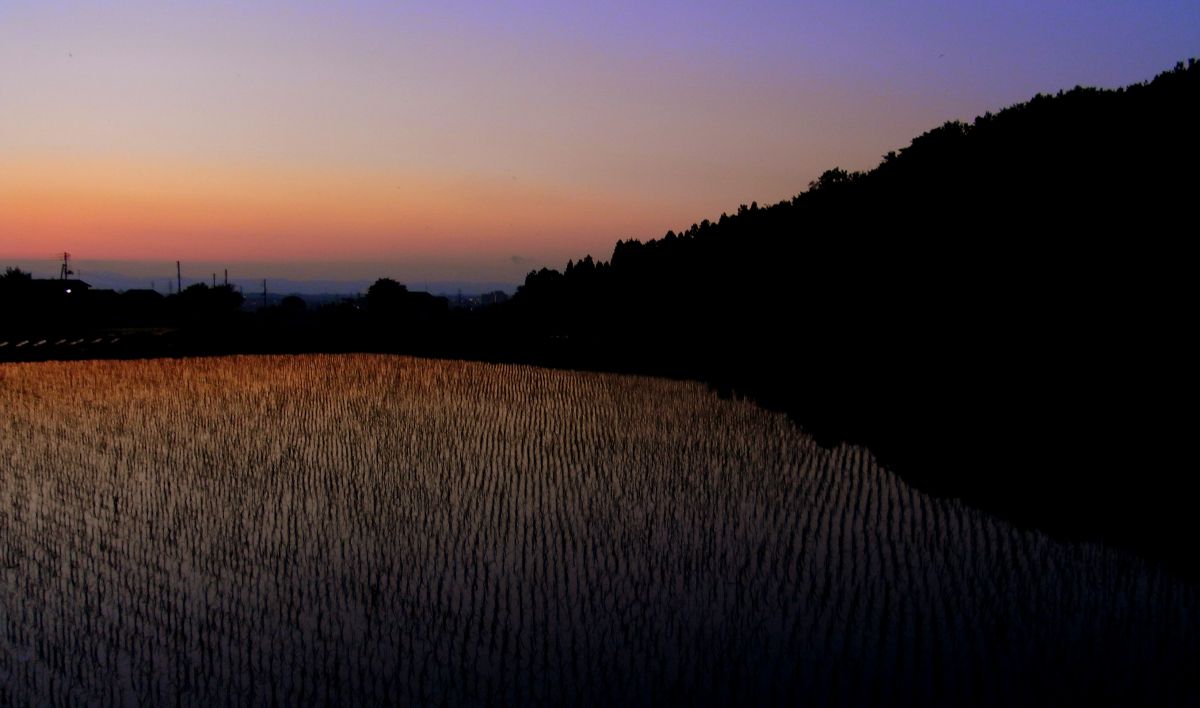 japanese tanbo | GANREF