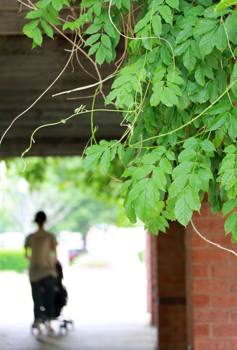 stroll with stroller | GANREF
