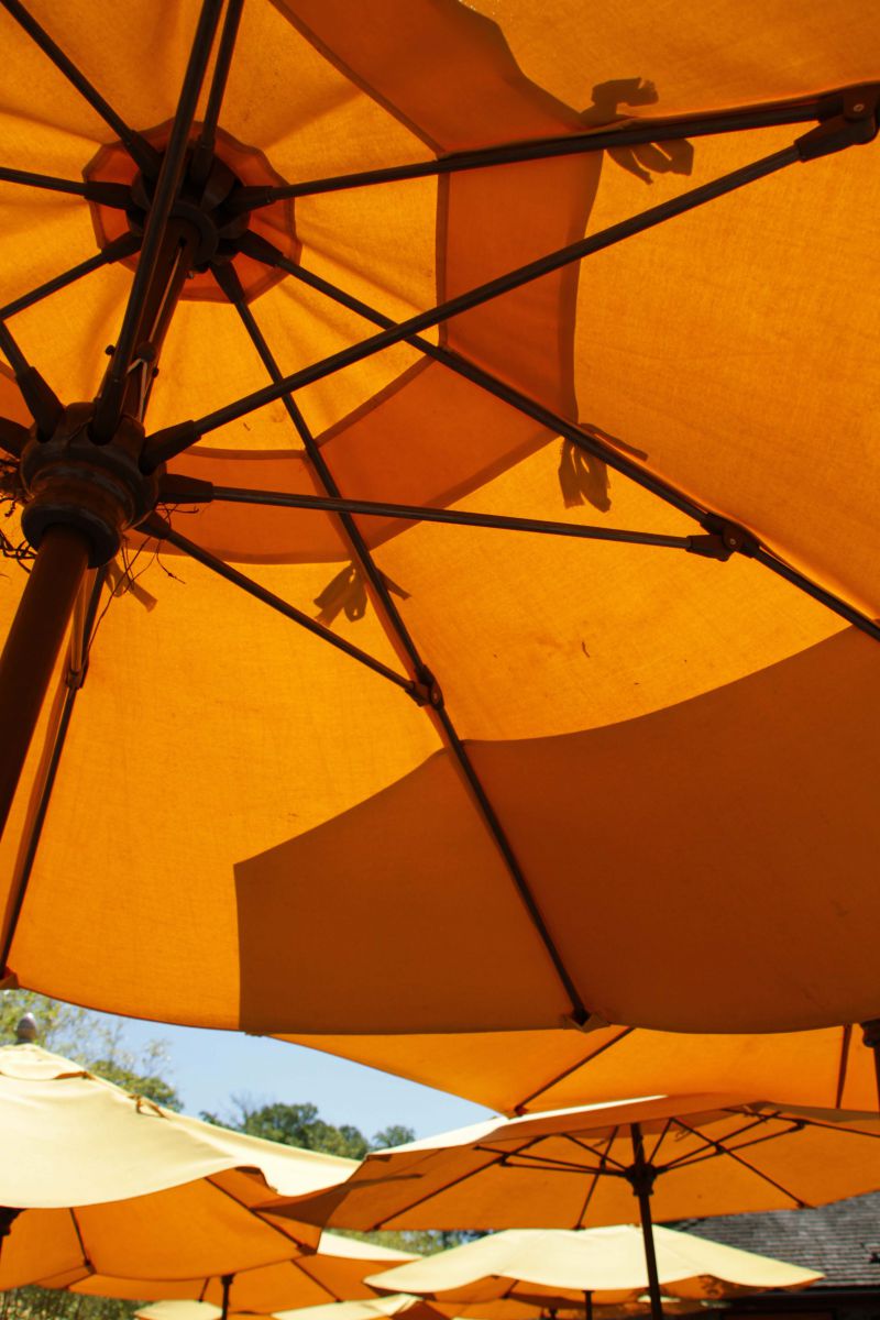 Orange parasol | GANREF