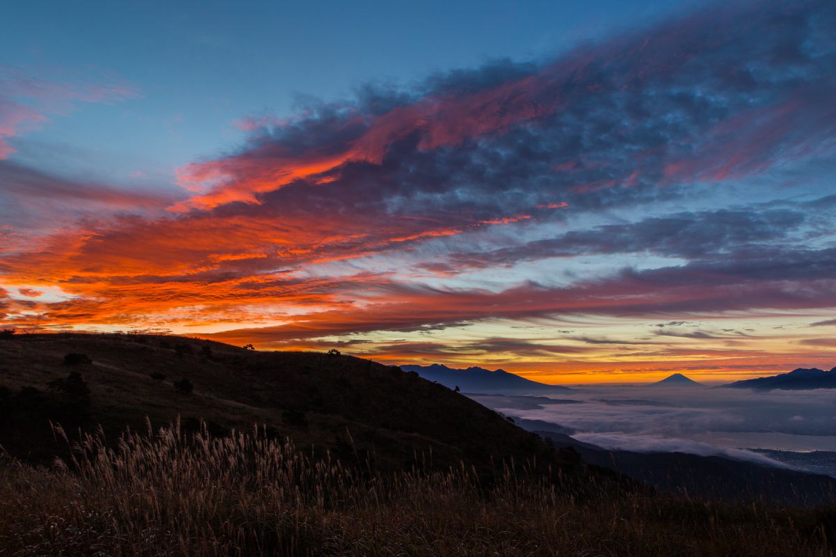 20161012-1DX_3921-2.jpg | GANREF