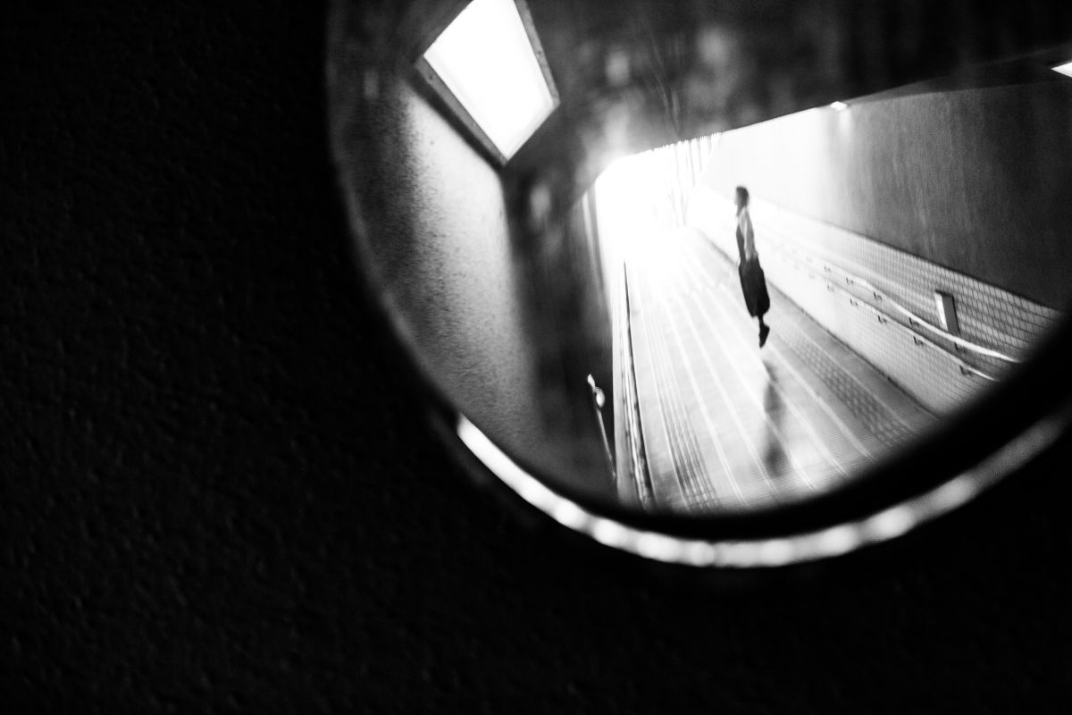 The Mirror World | GANREF