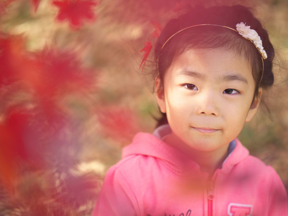 紅葉の髪飾り | GANREF