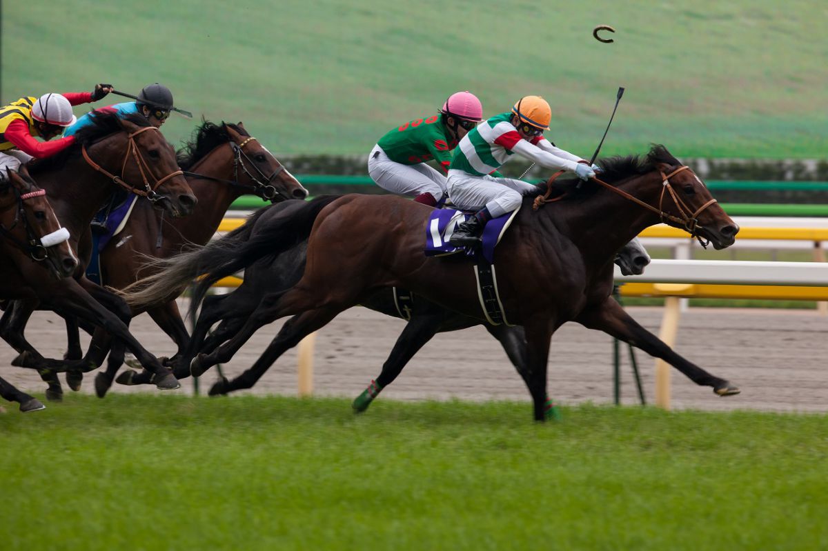 Real Impact | GANREF