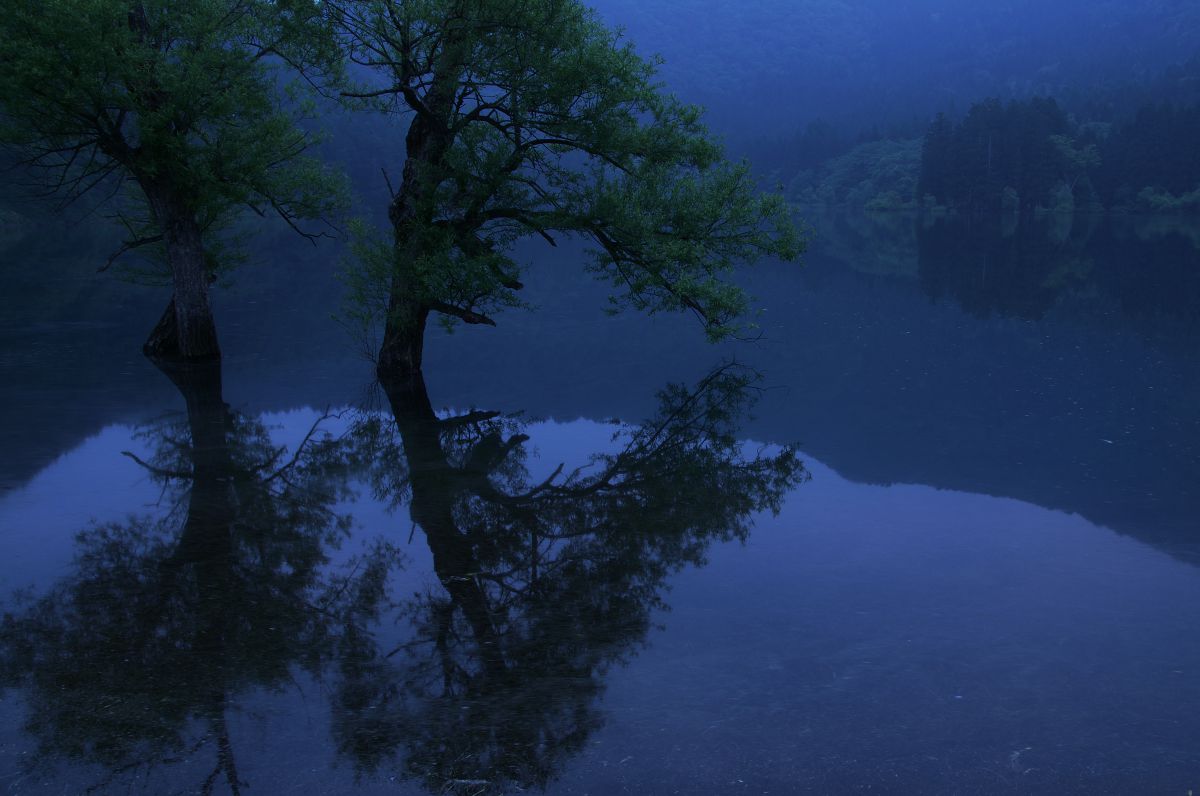 蒼く静かなる世界 | GANREF