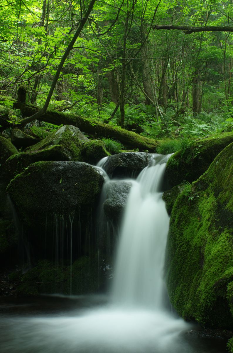 か、カレンダー… orz | GANREF