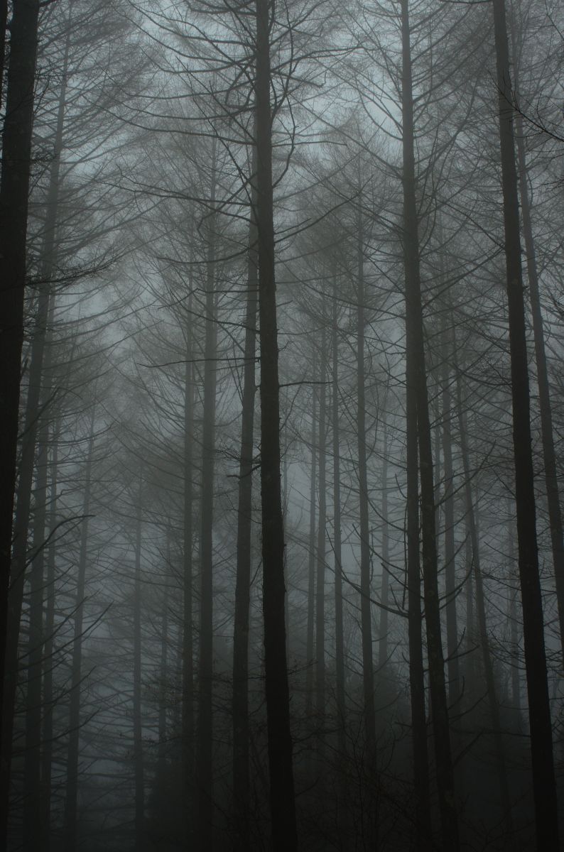 白く沈む世界 | GANREF