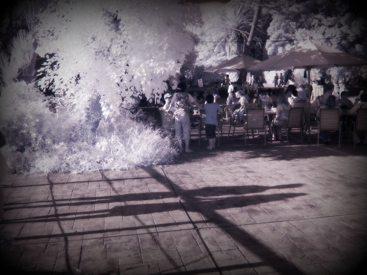 infrared couple 1 | GANREF