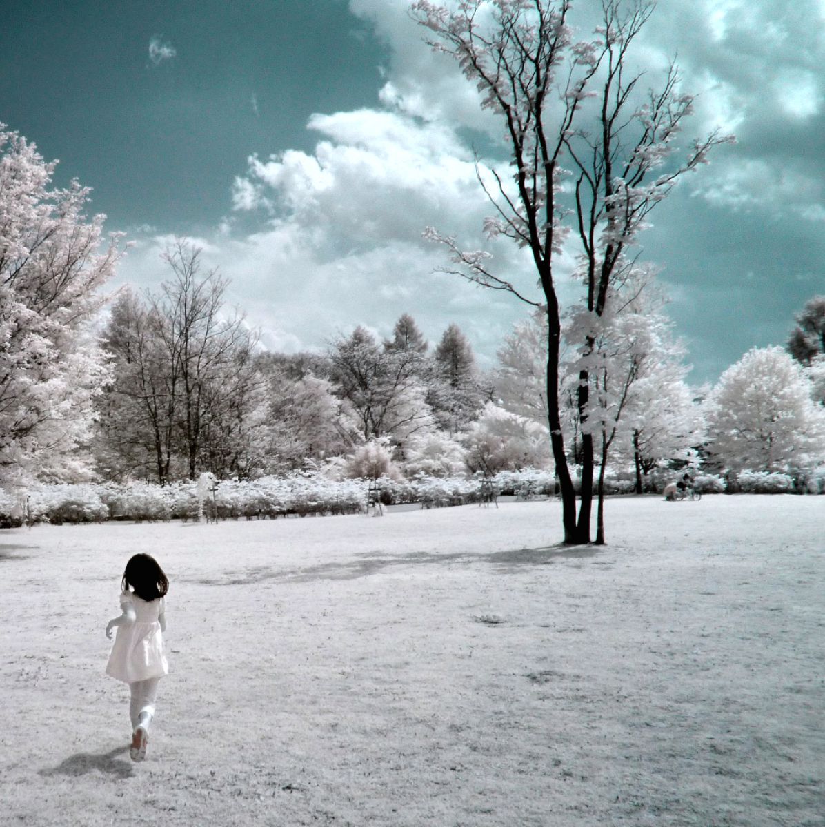 Ir grassfield | GANREF