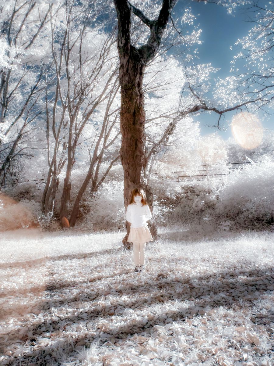 Ghost in the Ghost | GANREF