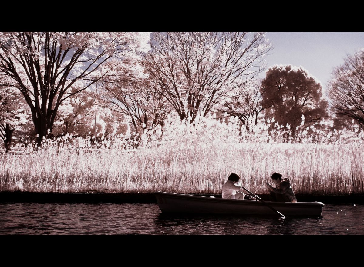 autumn infrared 2 | GANREF