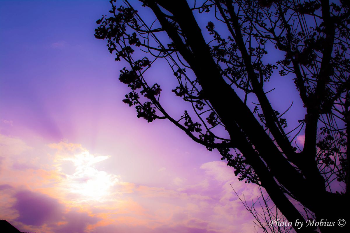 SORA - 引き際 | GANREF