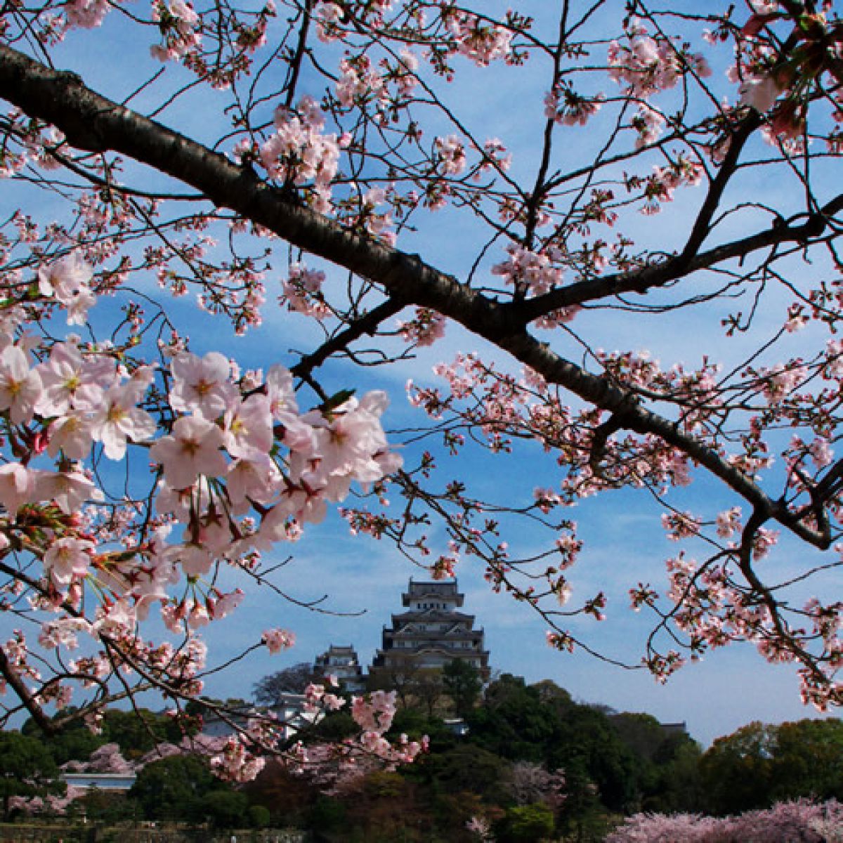 姫路城-01 | GANREF