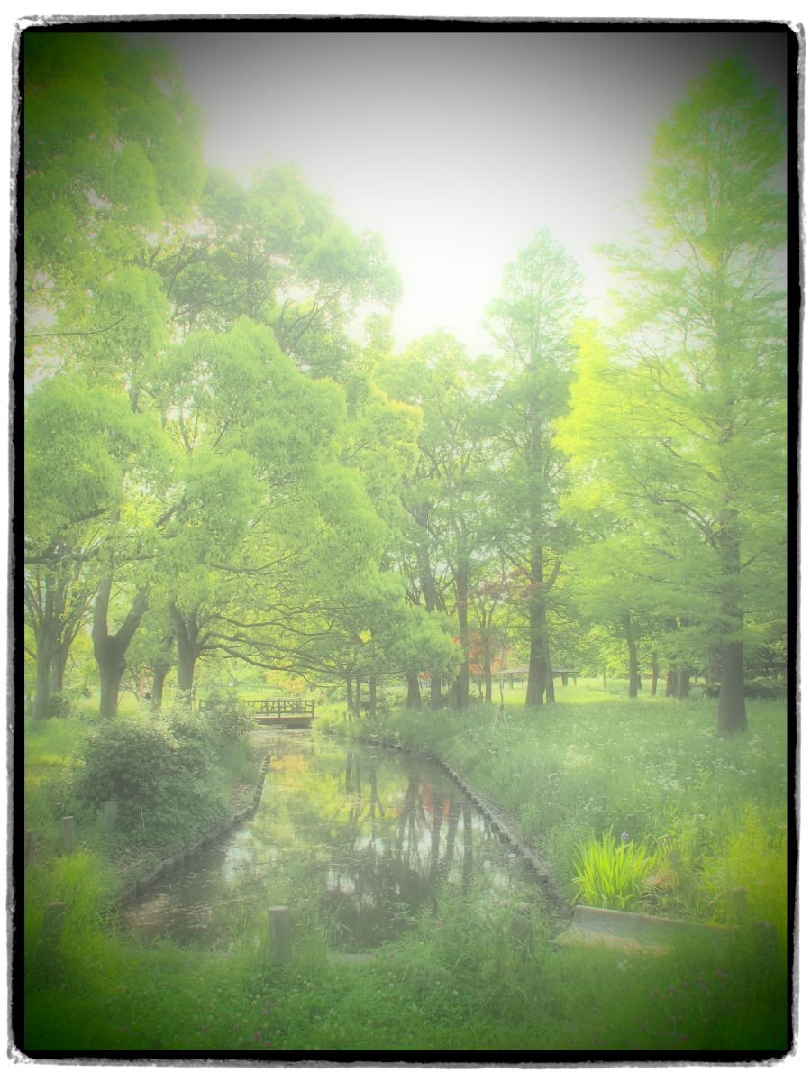 still love her | GANREF